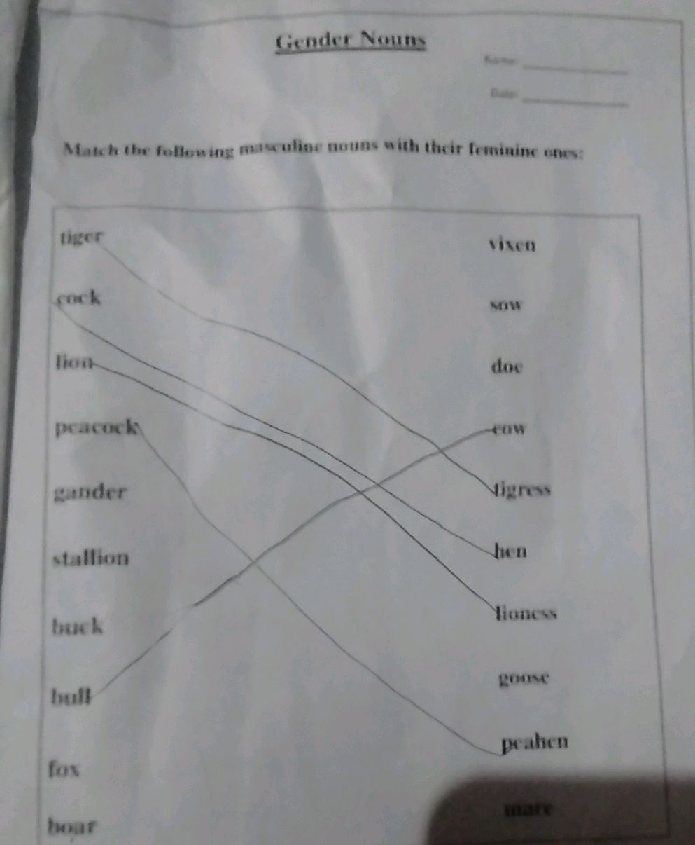 Match the following masculine nouns with | StudyX