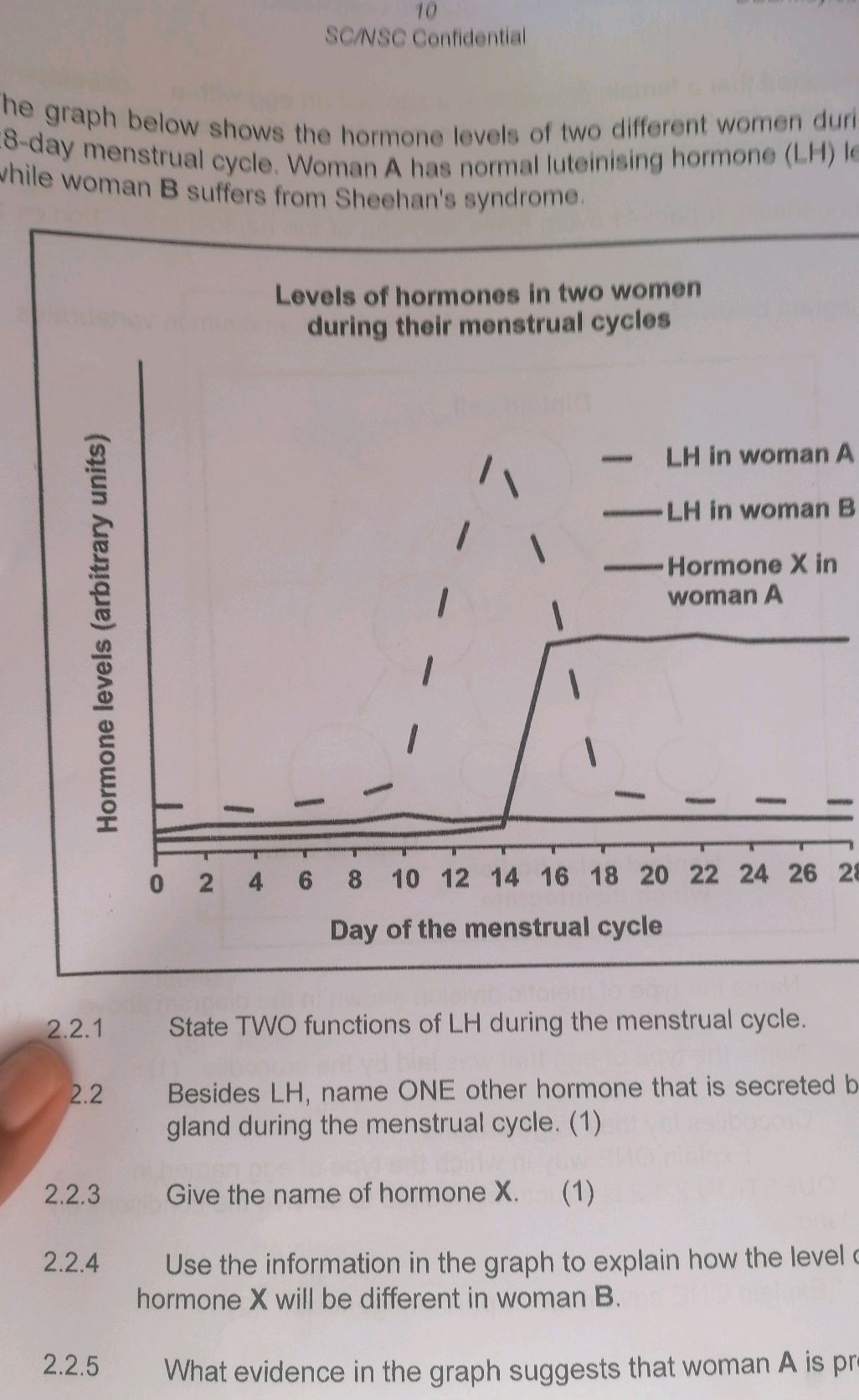 The graph below shows the hormone levels of | StudyX