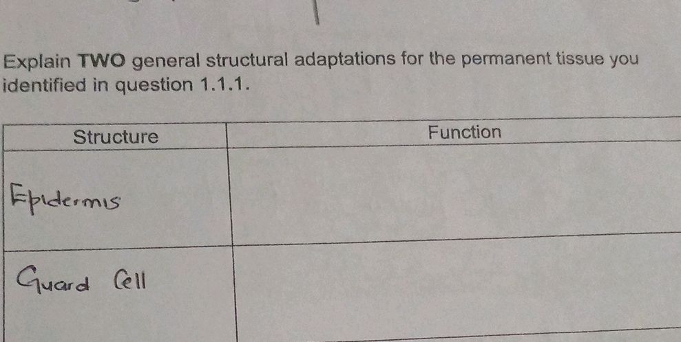Explain TWO general structural adaptations | StudyX