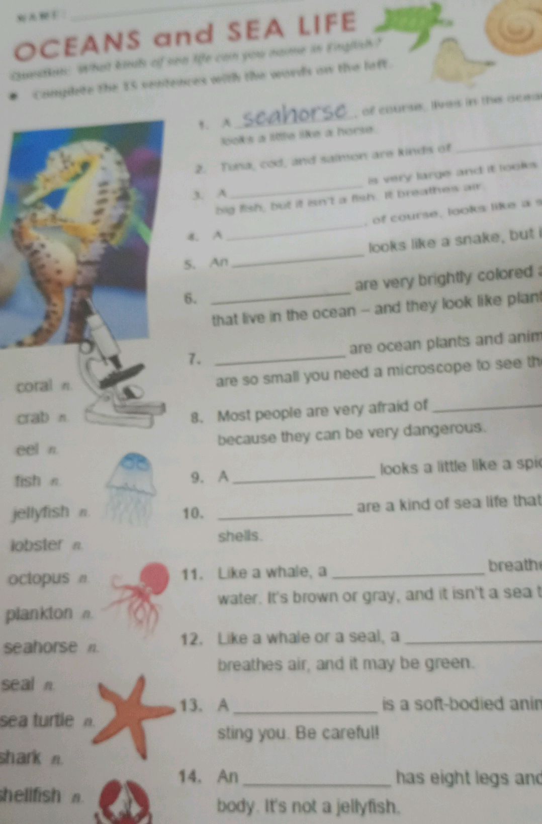 OCEANS and SEA LIFE Question: What kinds of | StudyX