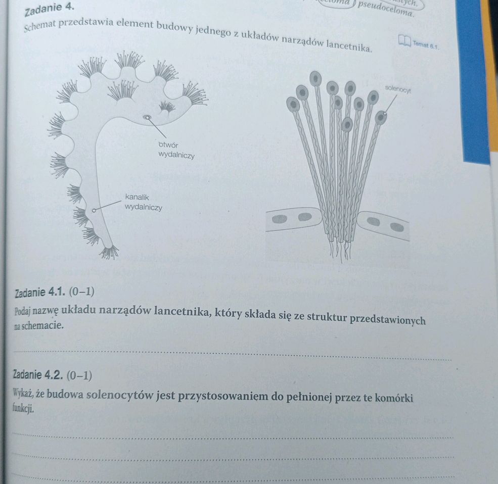 Zadanie 4. Schemat przedstawia element | StudyX