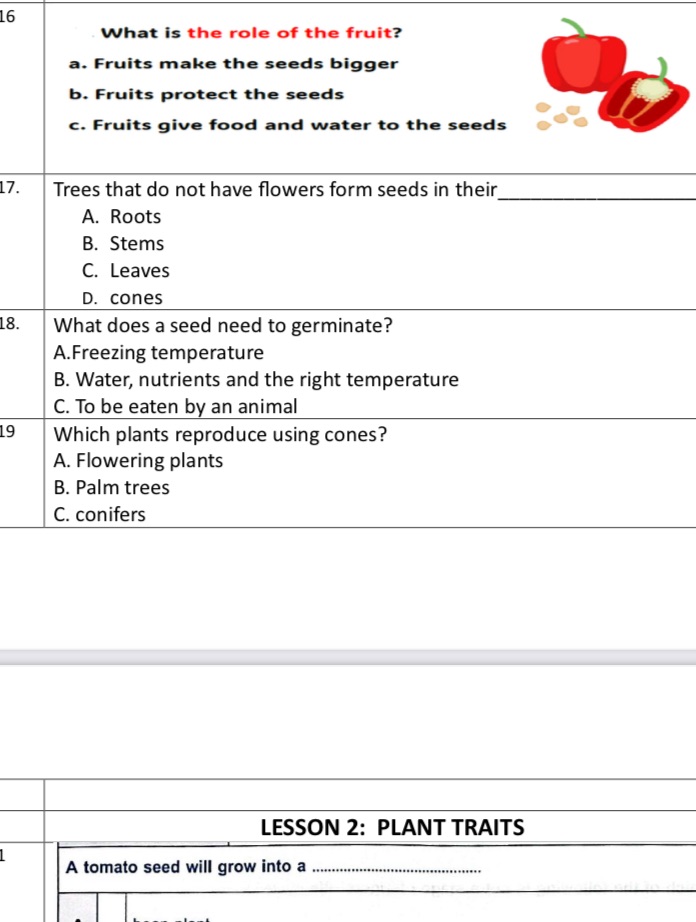 16. What is the role of the fruit? a. | StudyX