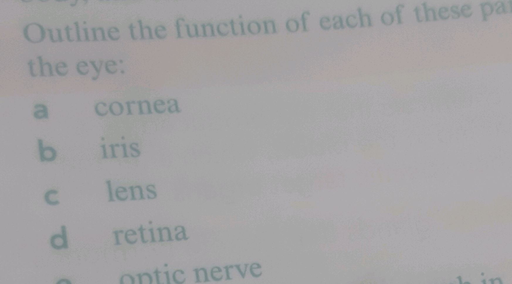 Outline the function of each of these parts | StudyX