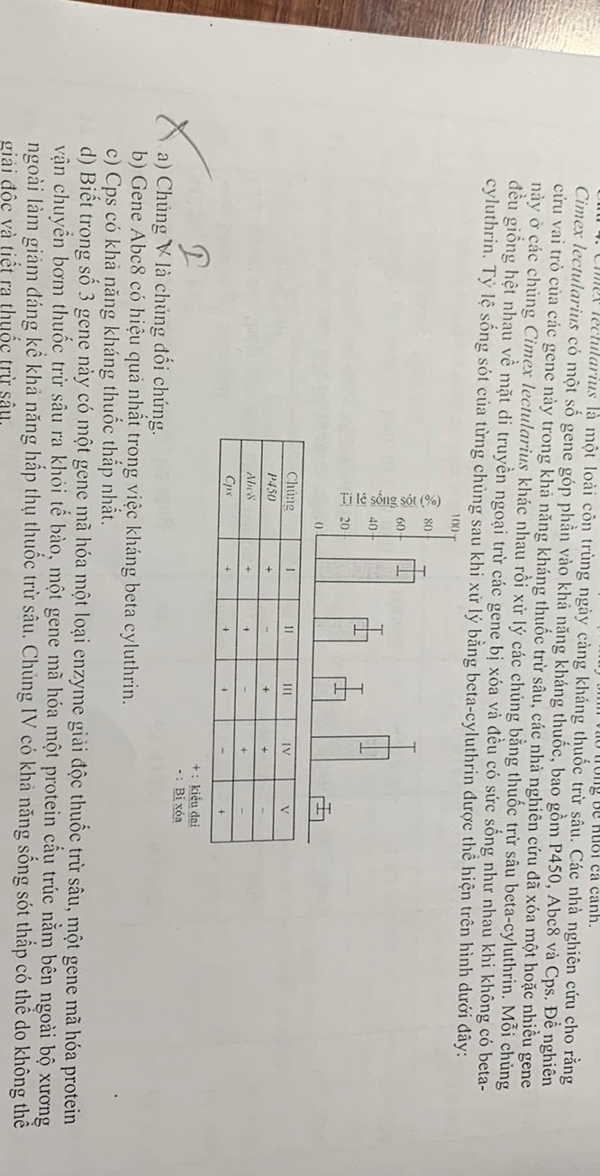 Chủng | I | II | III | IV | V | | StudyX
