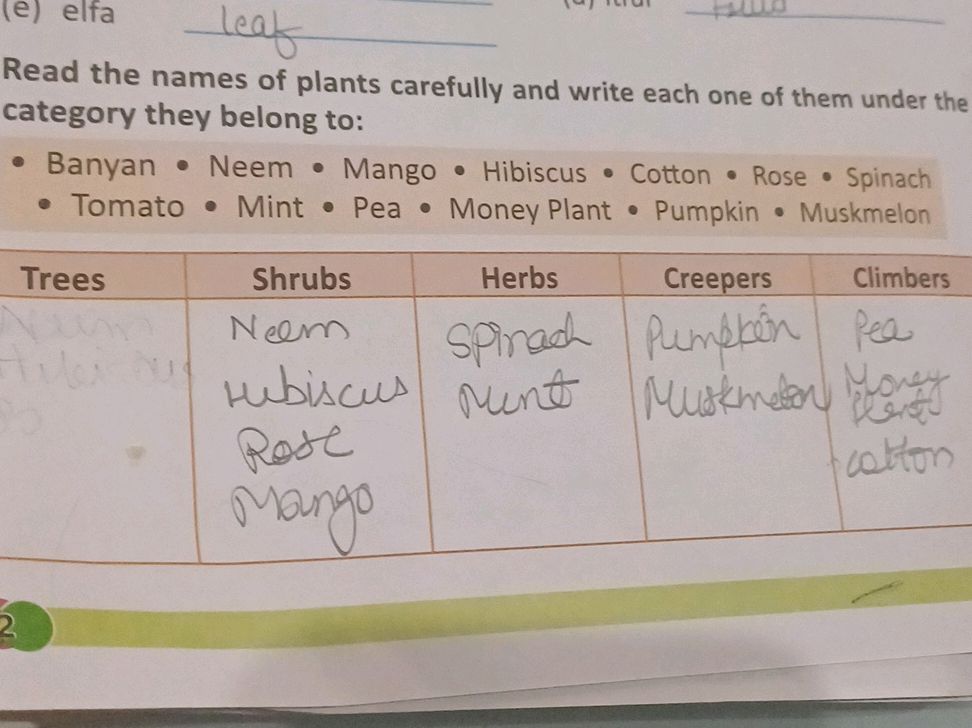 Read the names of plants carefully and write | StudyX