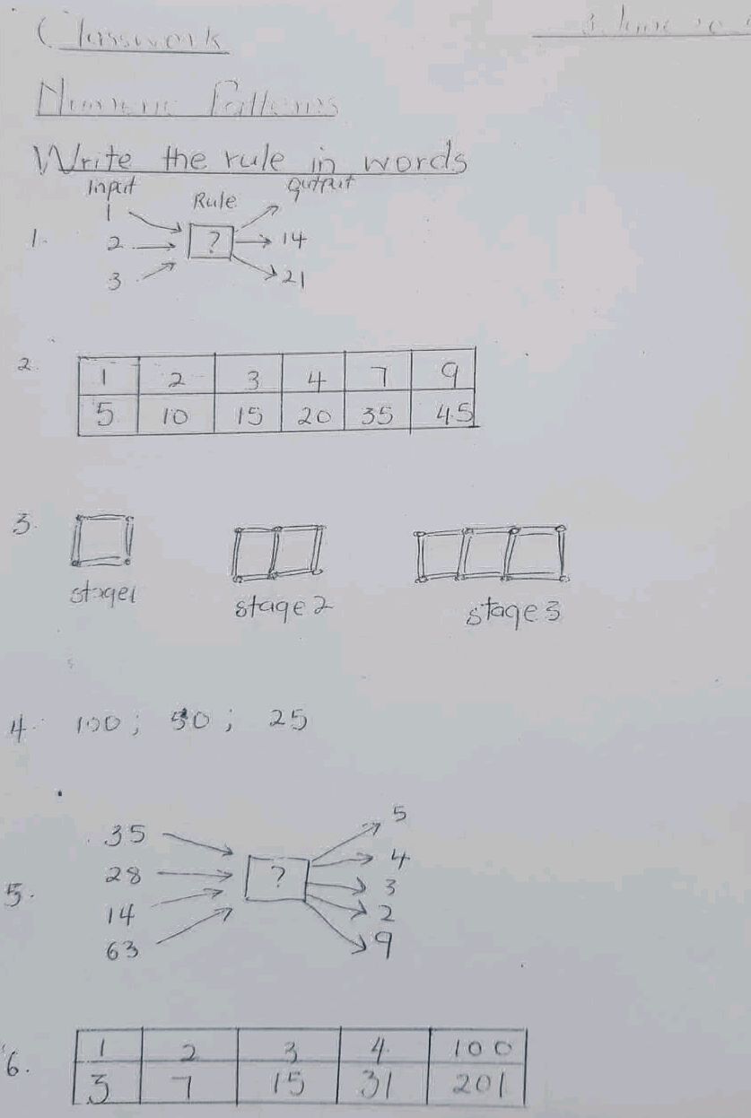 Write the rule in words 1. Input: 2 -> ? | StudyX