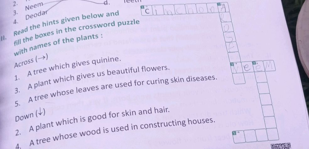 Read the hints given below and fill the | StudyX