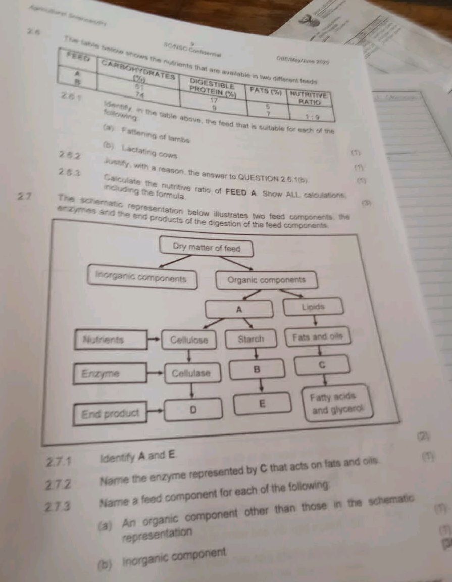 The table below shows the nutrients that are | StudyX
