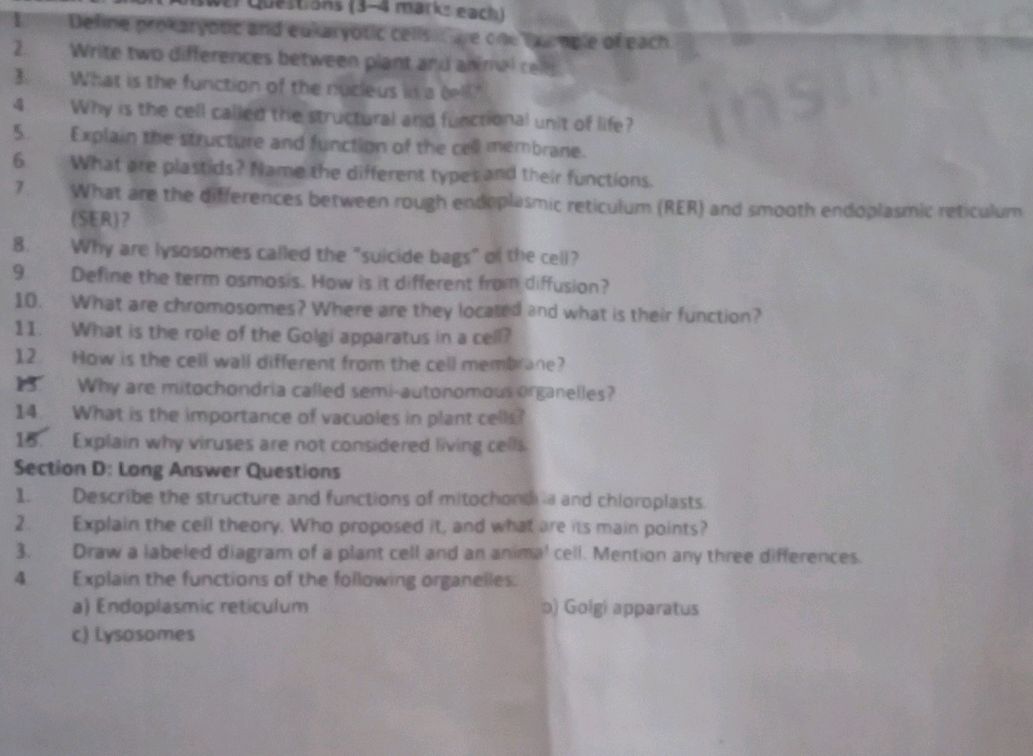 1. Define prokaryotic and eukaryotic cells. | StudyX