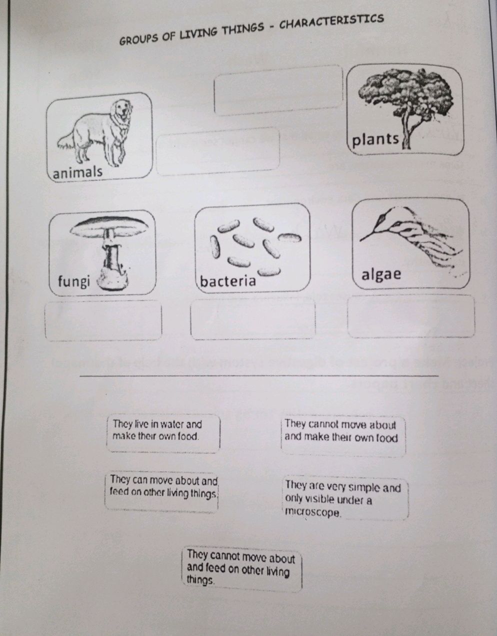 GROUPS OF LIVING THINGS - CHARACTERISTICS | StudyX