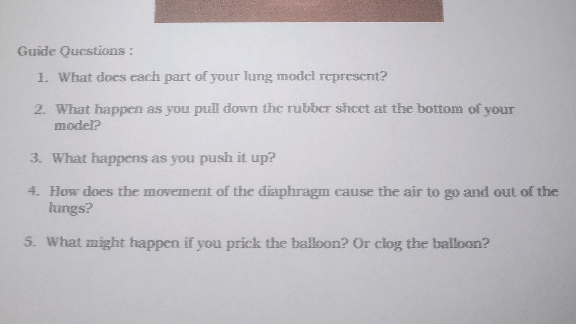 1. What does each part of your lung model | StudyX