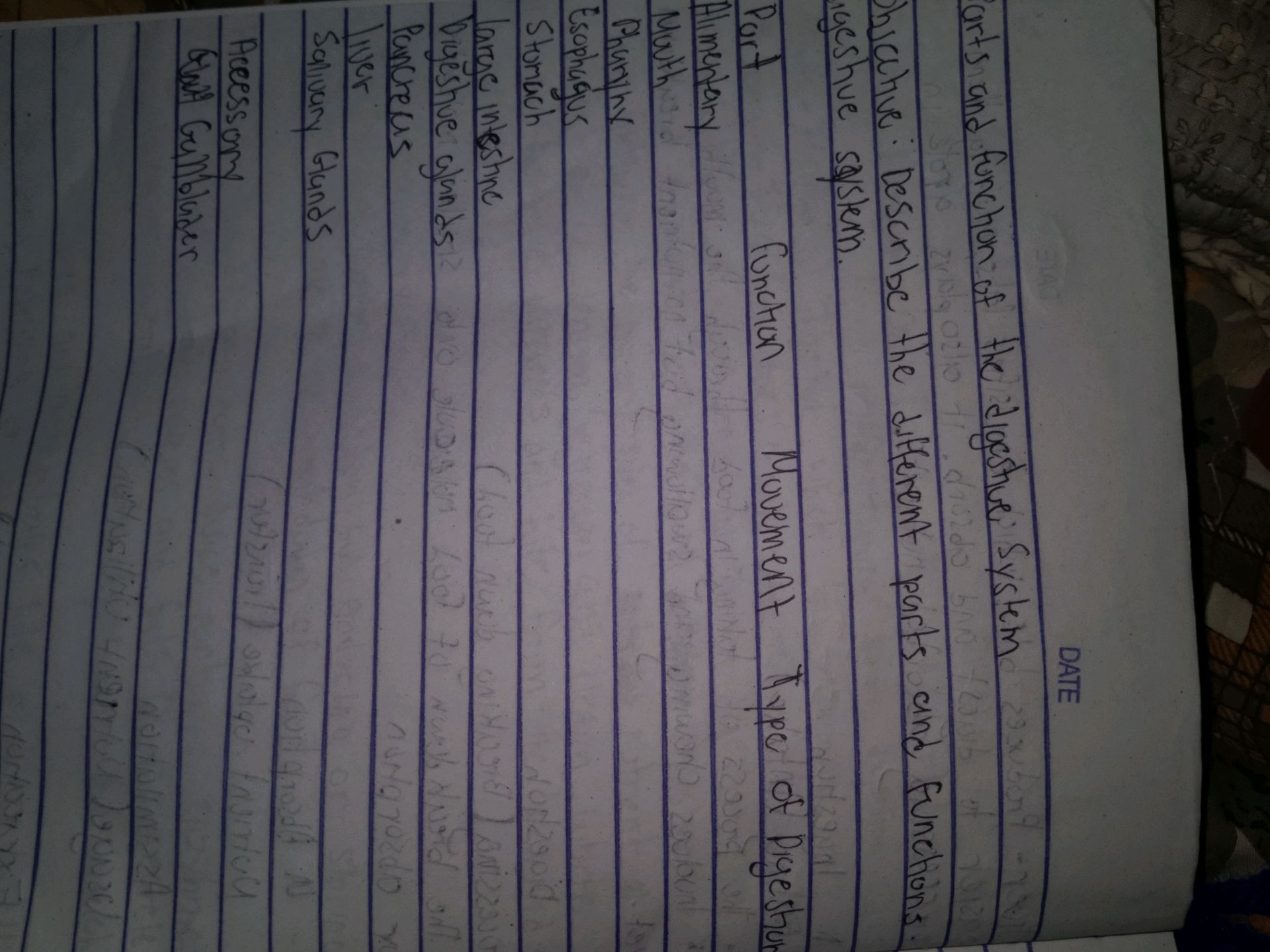 Objective: Describe the different parts and | StudyX