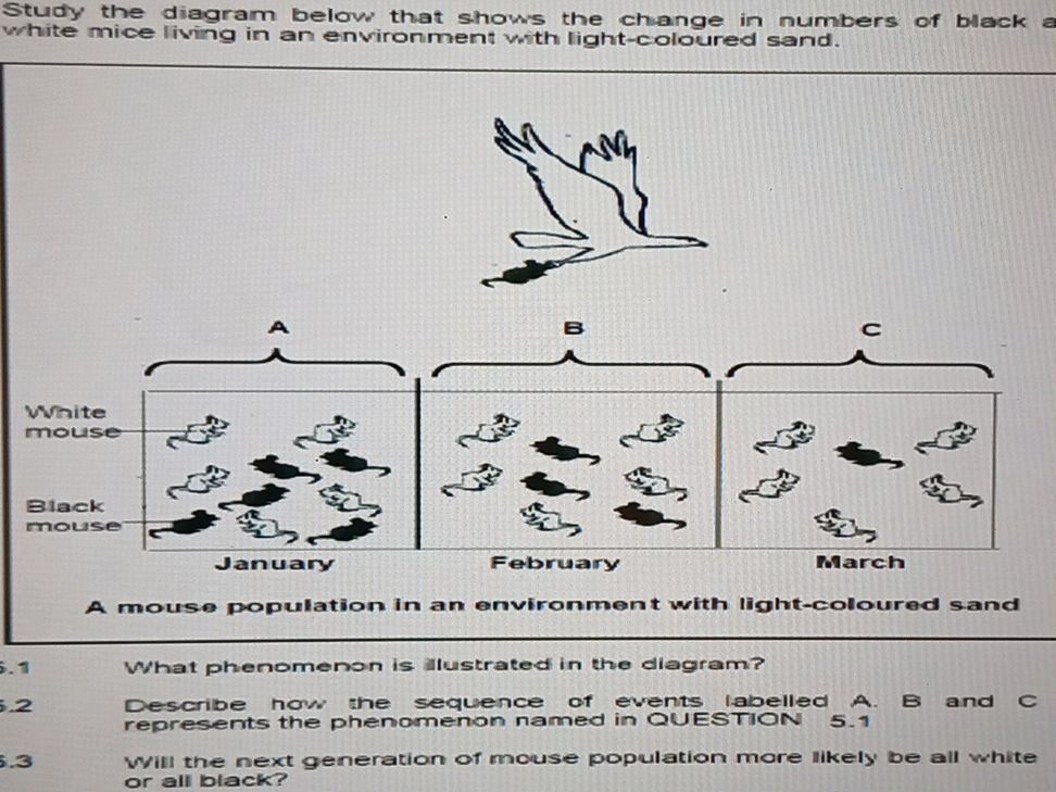 Study the diagram below that shows the