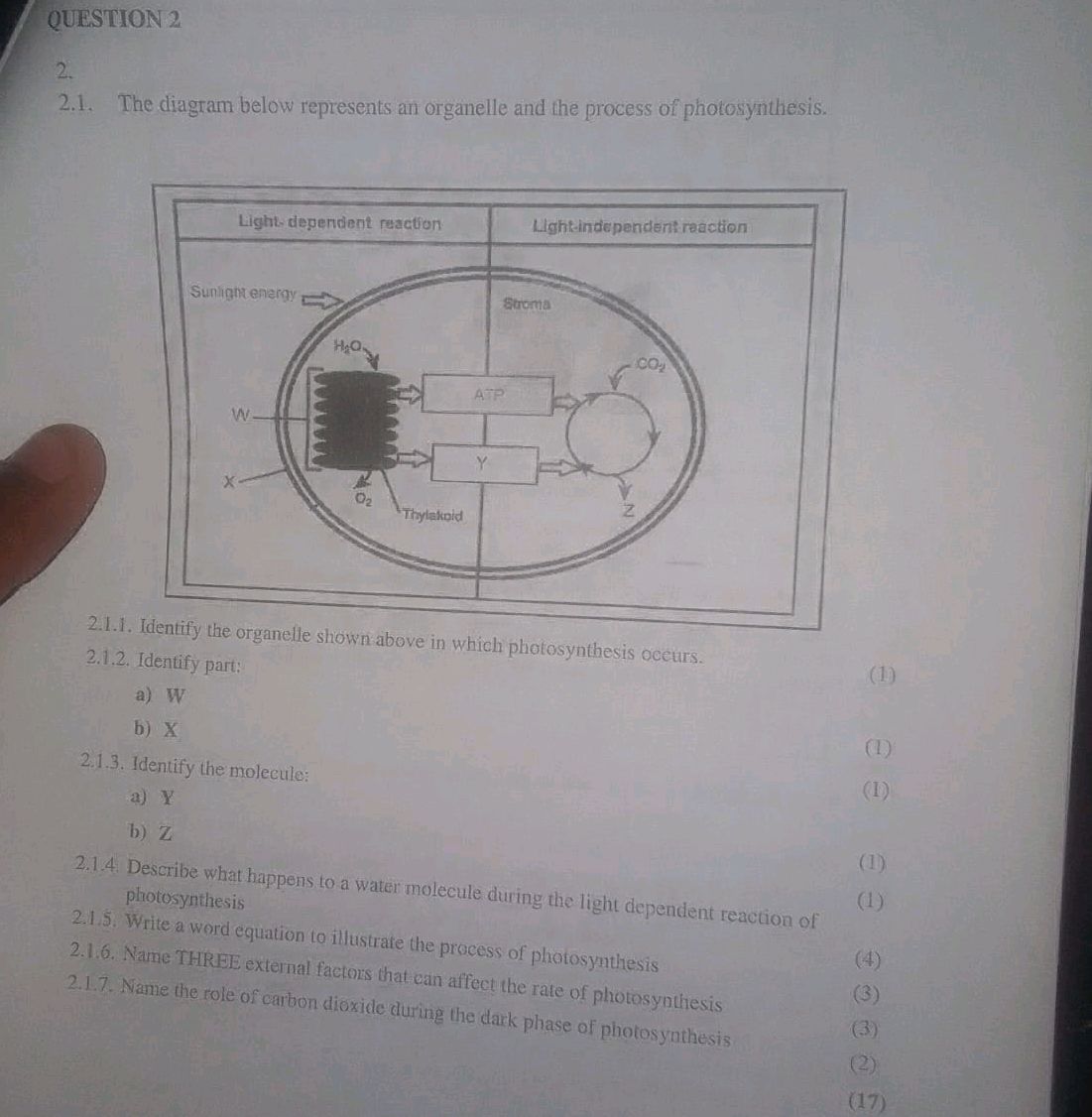 2. The diagram below represents an | StudyX