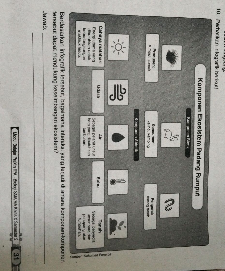 10. Perhatikan infografik berikut! Komponen | StudyX