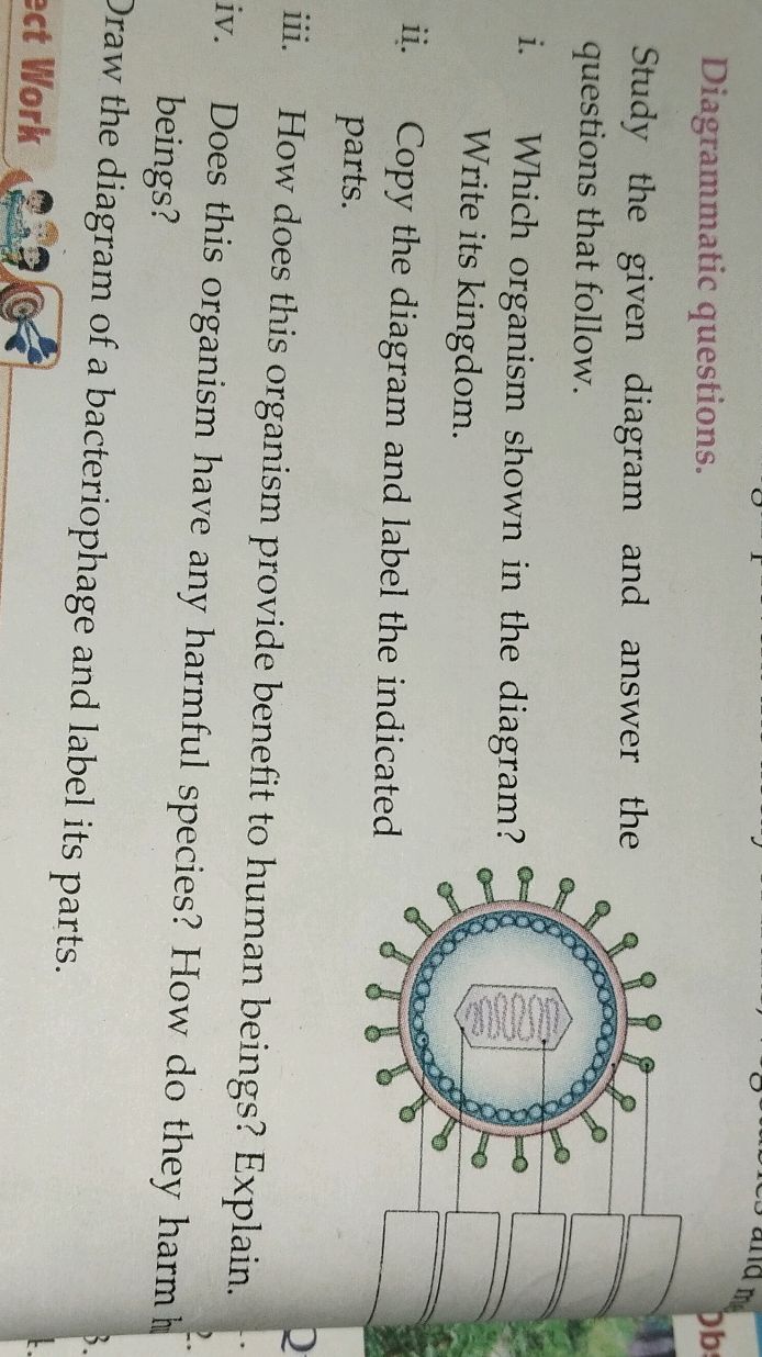 Diagrammatic questions. Study the given | StudyX