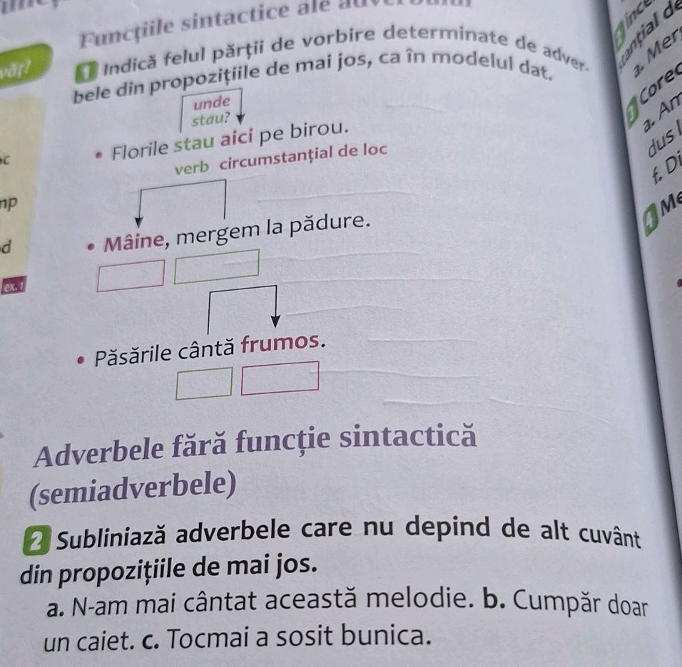 1 Indică felul părții de vorbire determinate | StudyX
