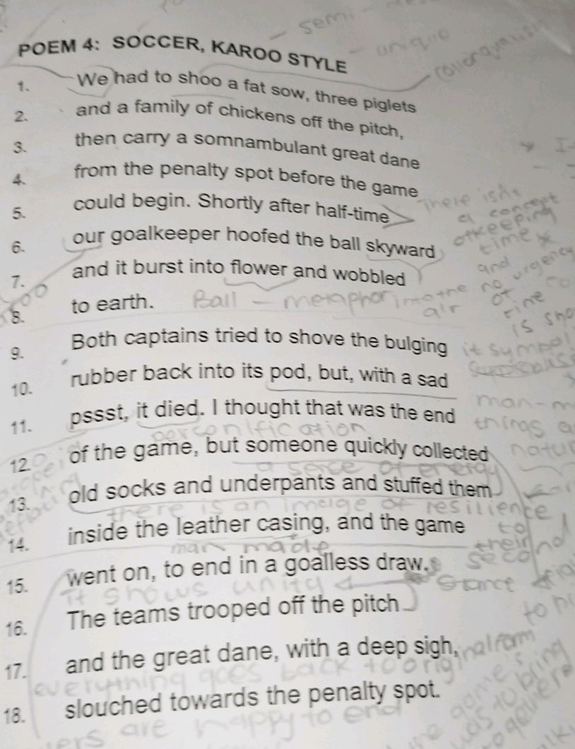 POEM 4: SOCCER, KAROO STYLE 1. We had to | StudyX