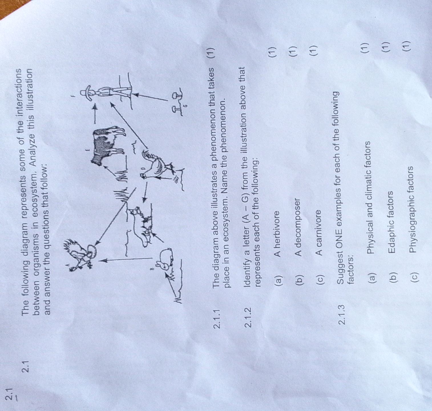 The following diagram represents some of the | StudyX