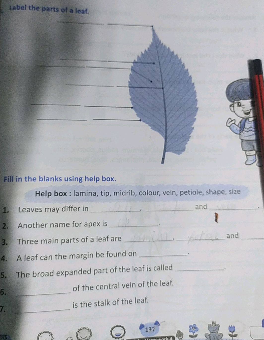 Label the parts of a leaf. Fill in the