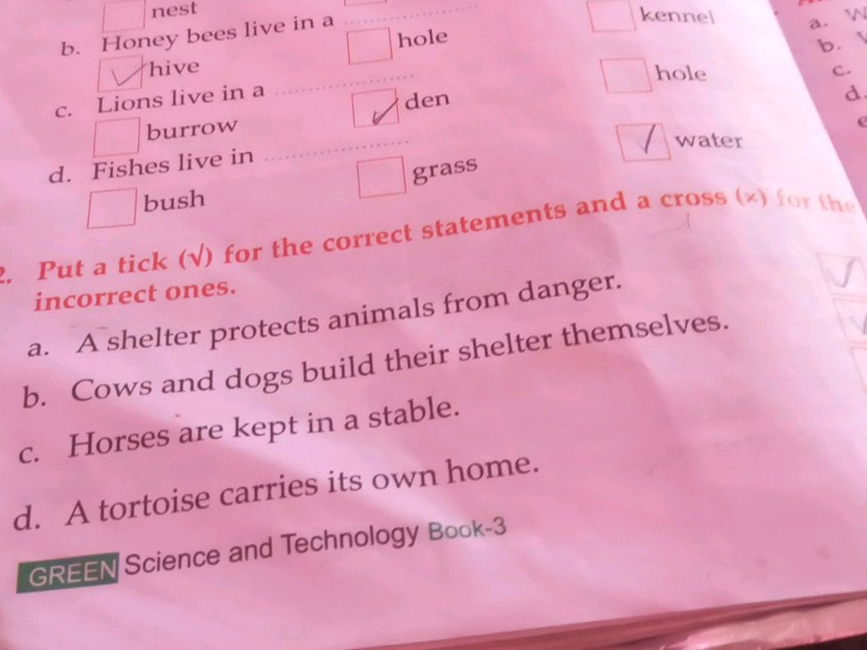 2. Put a tick (√) for the correct statements | StudyX