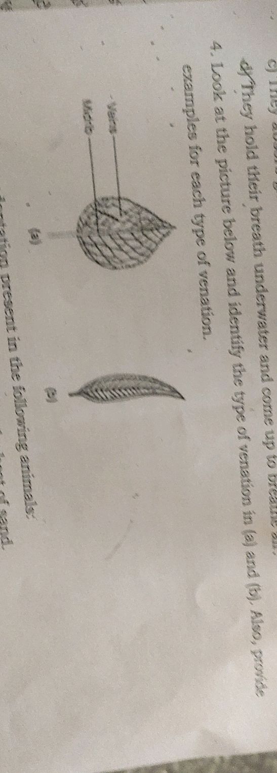 4. Look at the picture below and identify | StudyX