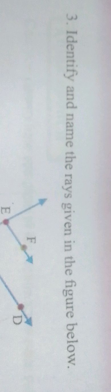3. Identify and name the rays given in the | StudyX