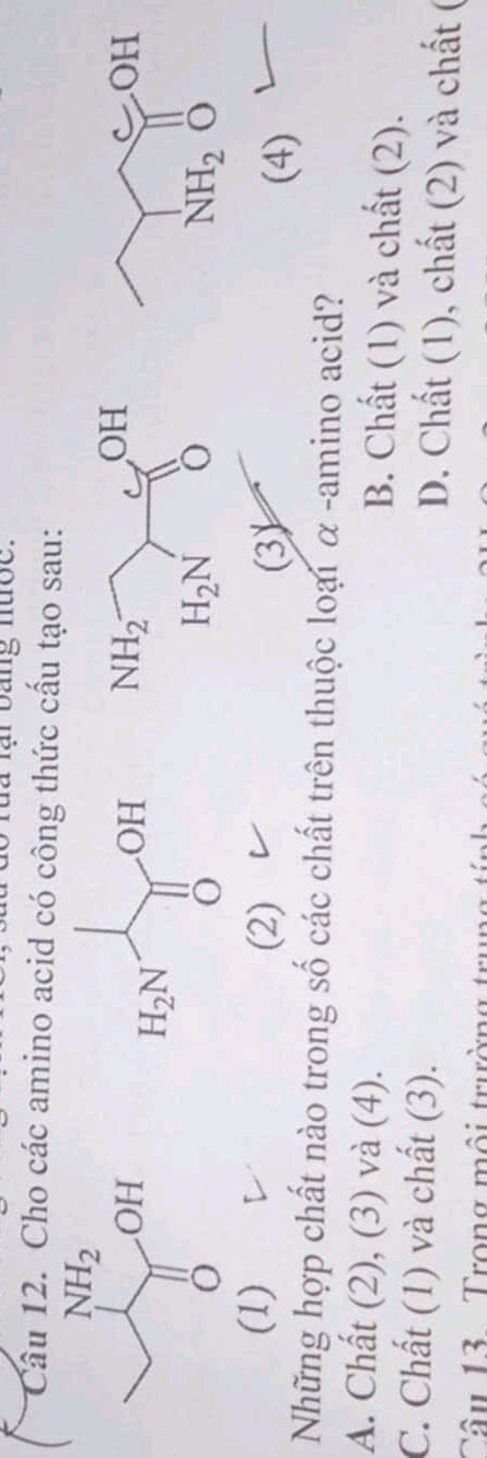 Câu 12. Cho các amino acid có công thức cấu | StudyX