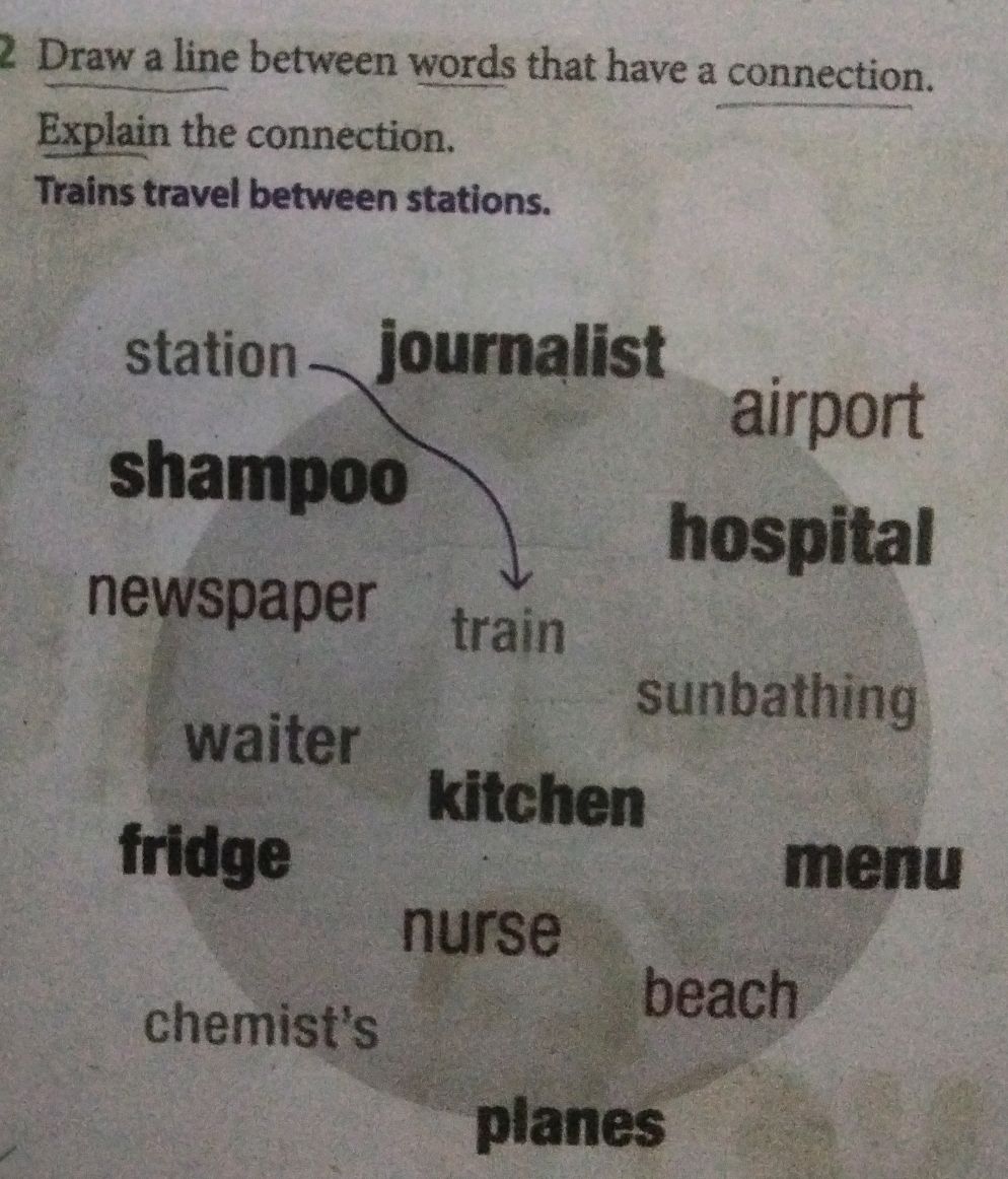 Draw a line between words that have a | StudyX
