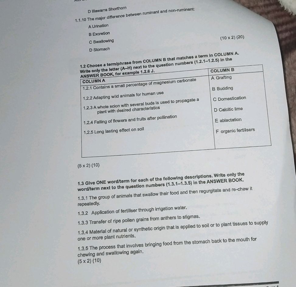 1.1.10 The major difference between ruminant | StudyX