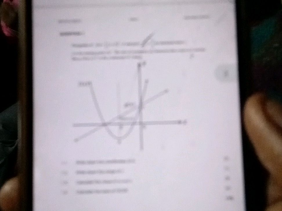 Based on the graph, which statement is true? | StudyX