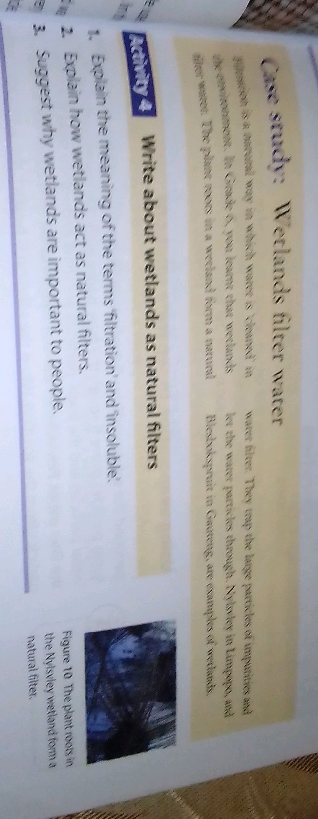 Activity 4 Write about wetlands as natural | StudyX