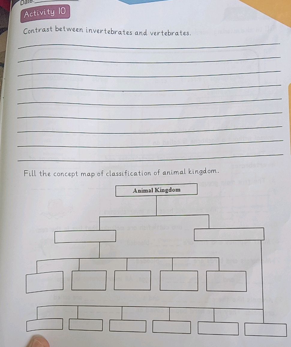 Contrast between invertebrates and | StudyX