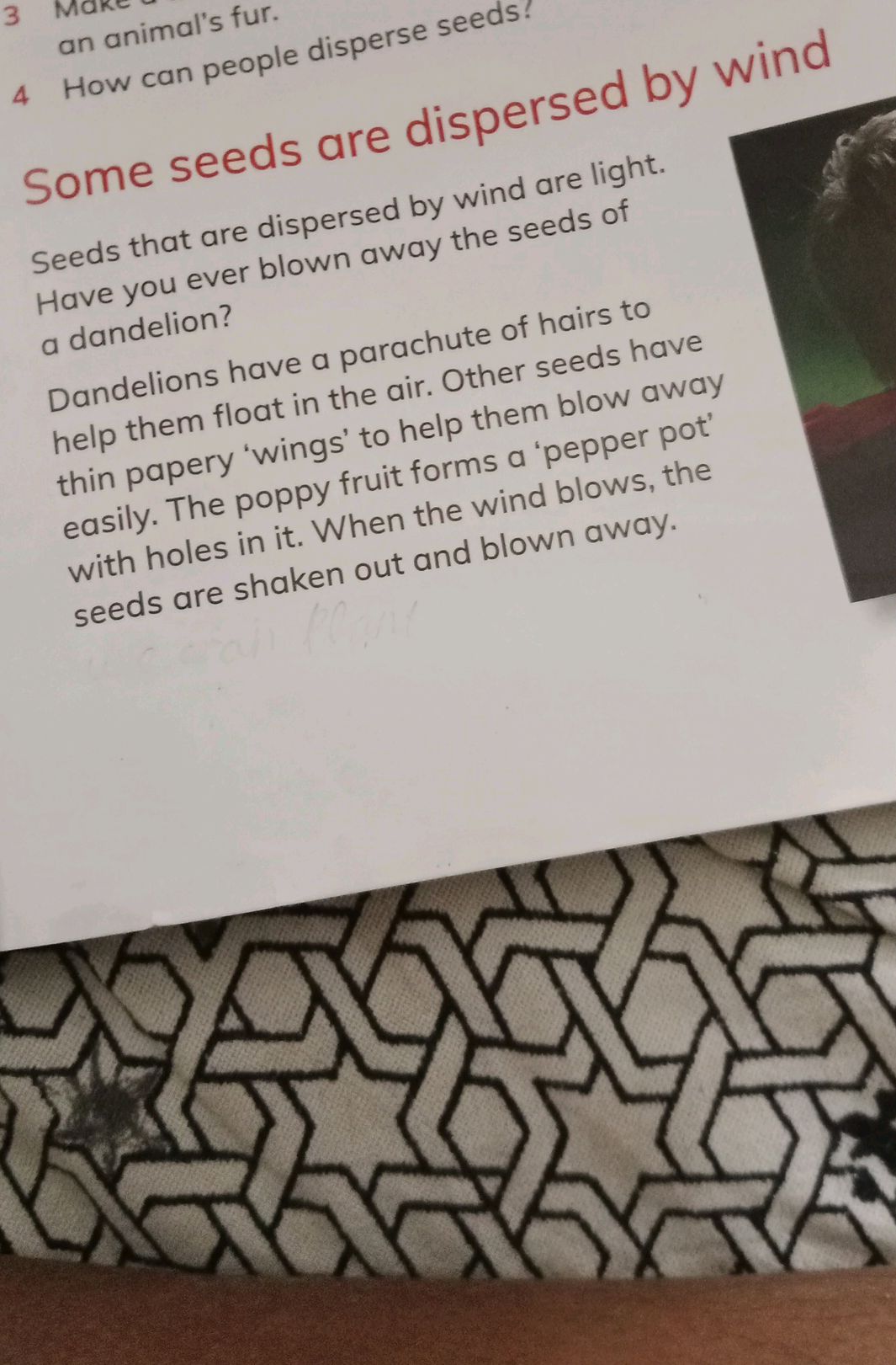 4 How can people disperse seeds? Seeds that | StudyX