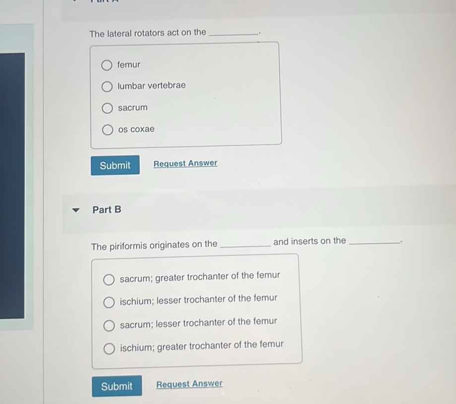 The lateral rotators act on the femur | StudyX