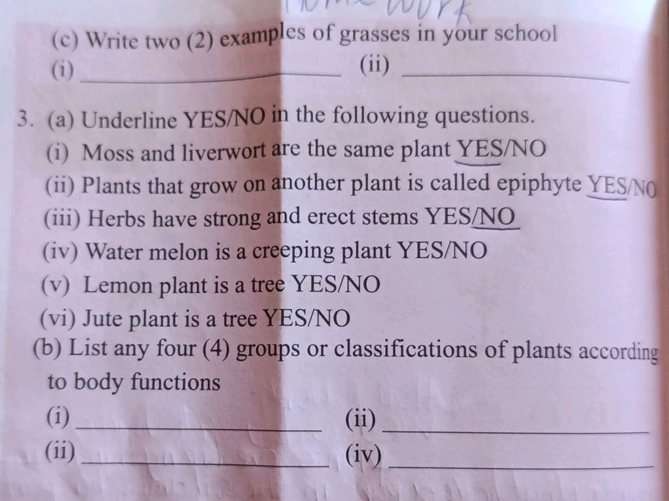 (c) Write two (2) examples of grasses in | StudyX