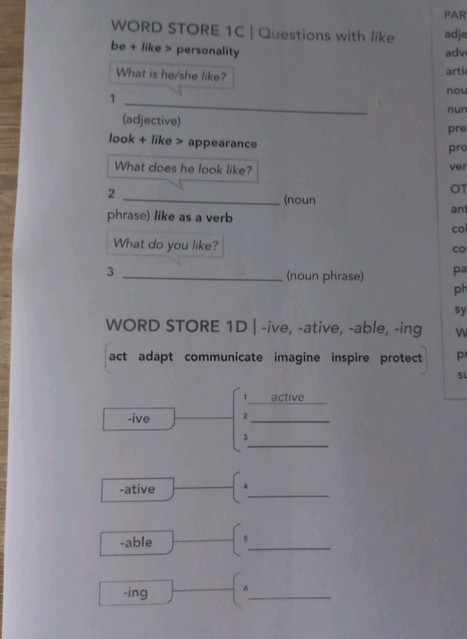WORD STORE 1C | Questions with like be + | StudyX