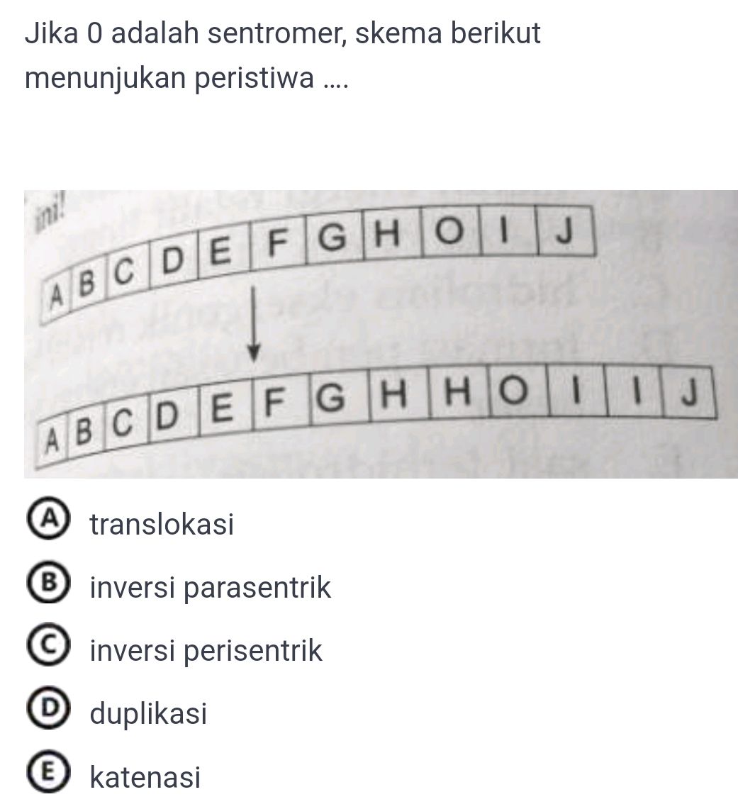 Jika 0 adalah sentromer, skema berikut | StudyX