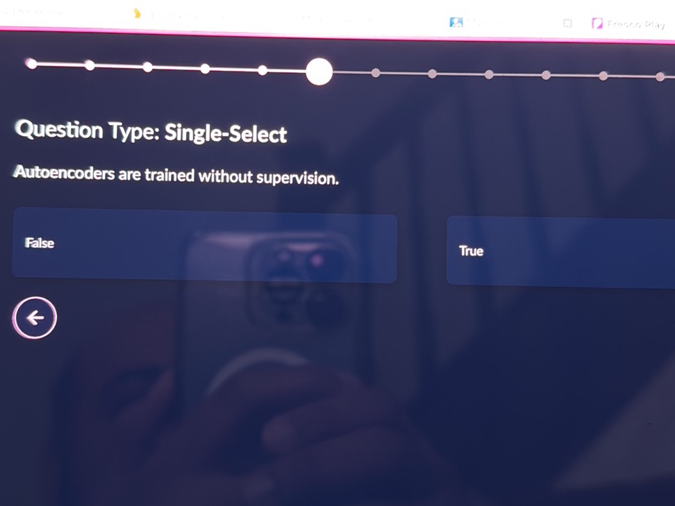 Autoencoders are trained without | StudyX