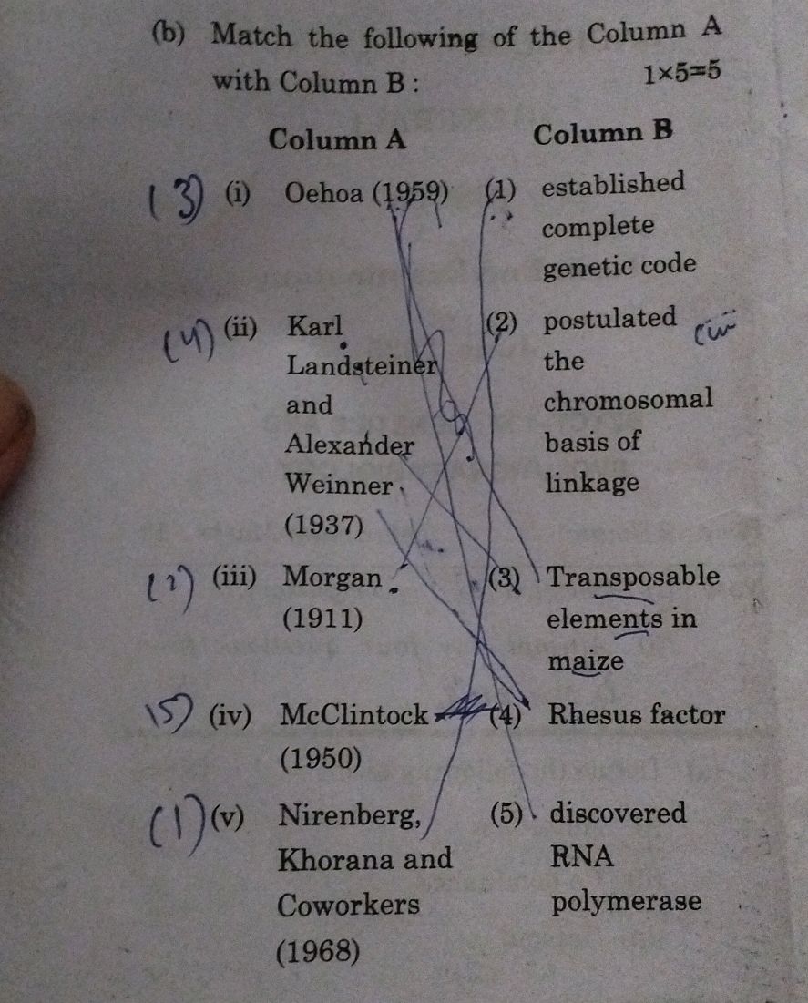 (b) Match the following of the Column A with | StudyX