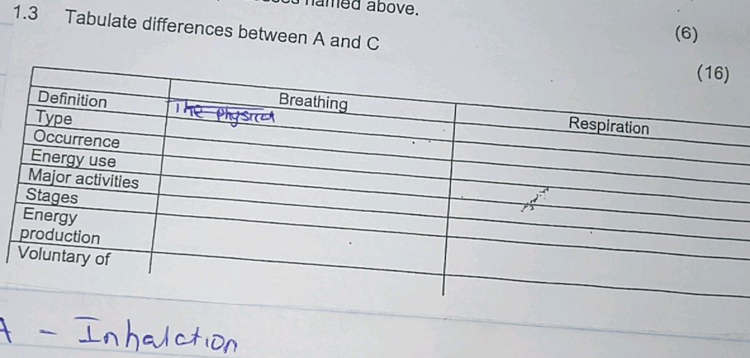 1.3 Tabulate differences between A and C | | StudyX