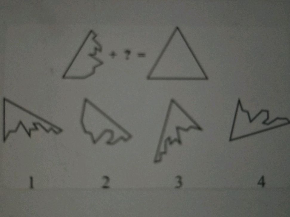 What shape, when added to the first shape, | StudyX