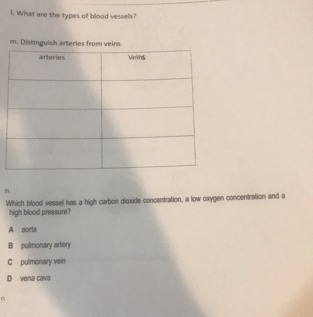 l. What are the types of blood vessels? m. | StudyX