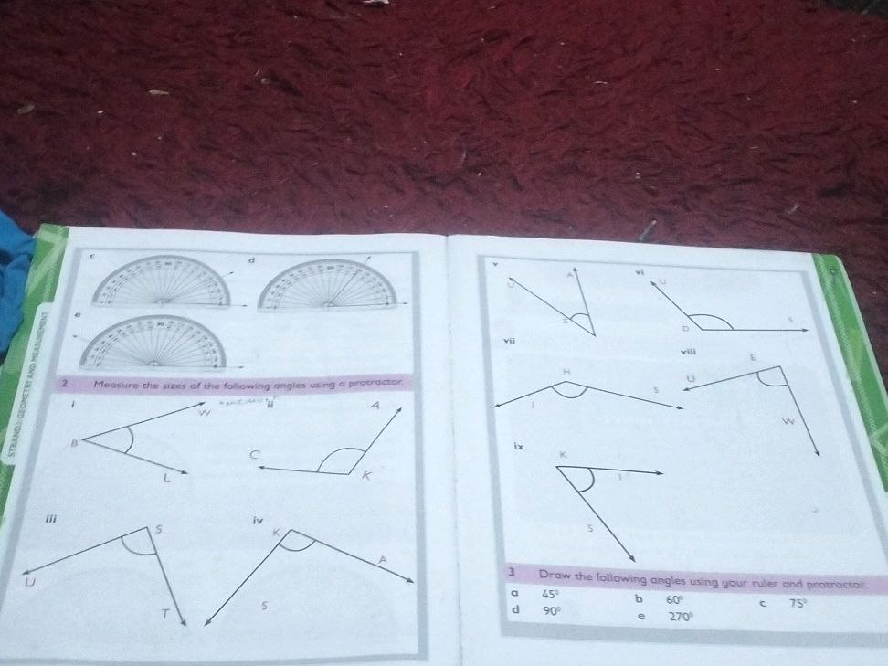 2 Measure the sizes of the following angles | StudyX