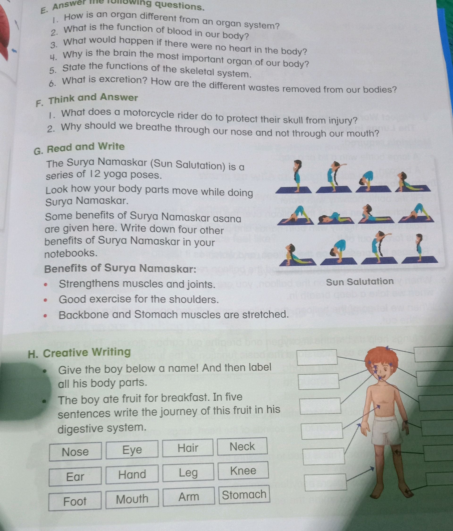 E. Answer the following questions. 1. How | StudyX