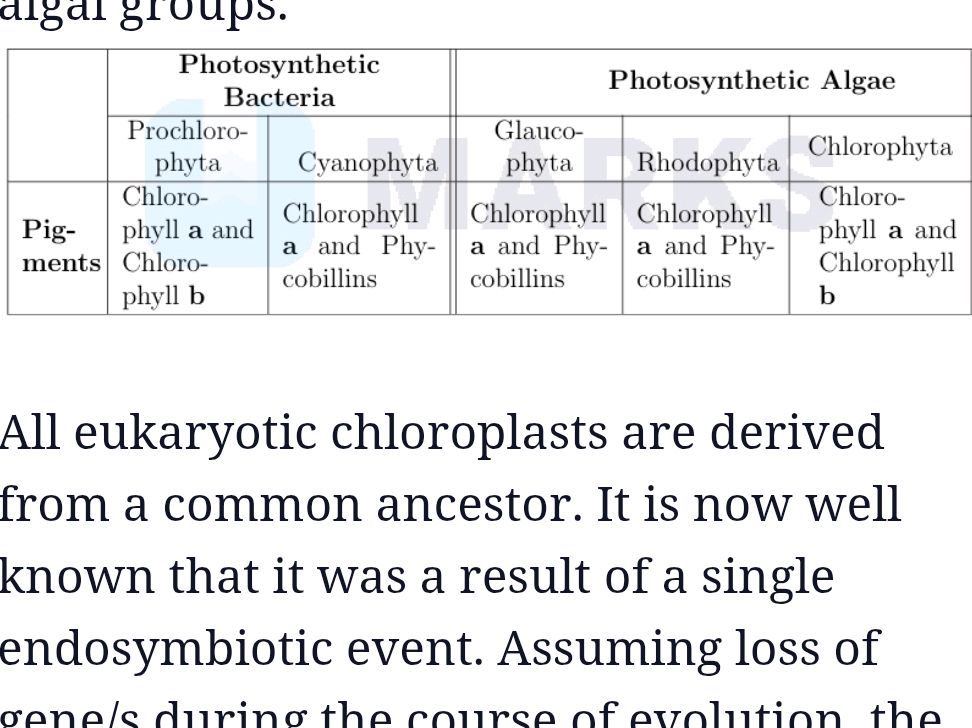 Pigments | Photosynthetic Bacteria | | StudyX