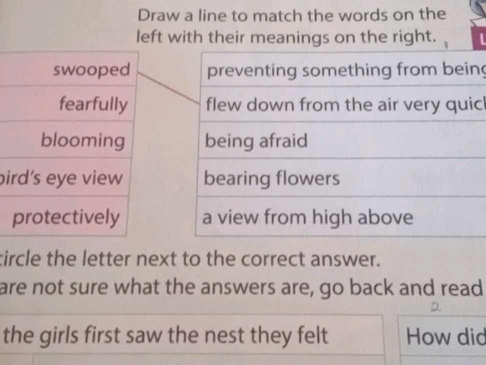 Draw a line to match the words on the left | StudyX