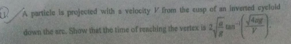 A particle is projected with a velocity $V$ | StudyX