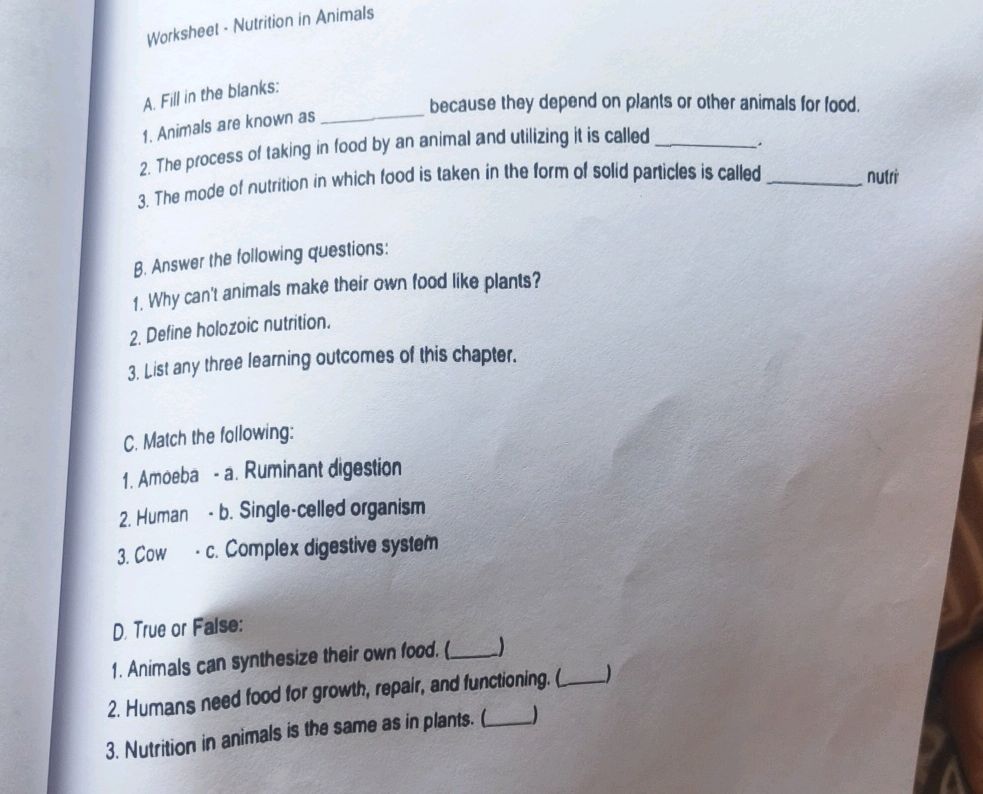 A. Fill in the blanks: 1. Animals are known | StudyX