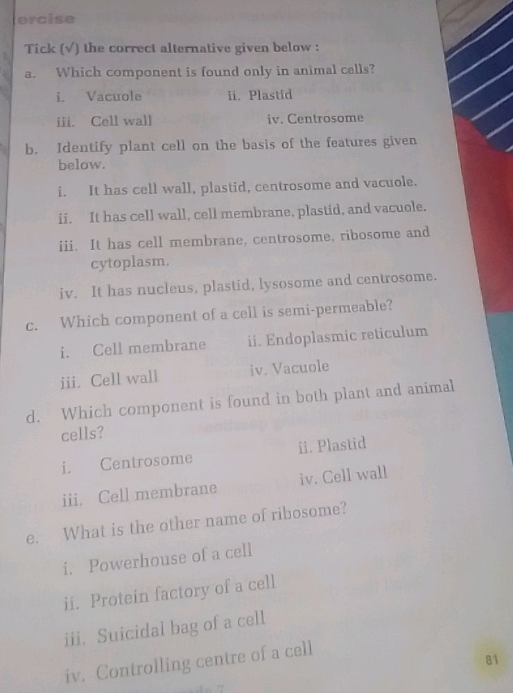 Tick (√) the correct alternative given | StudyX